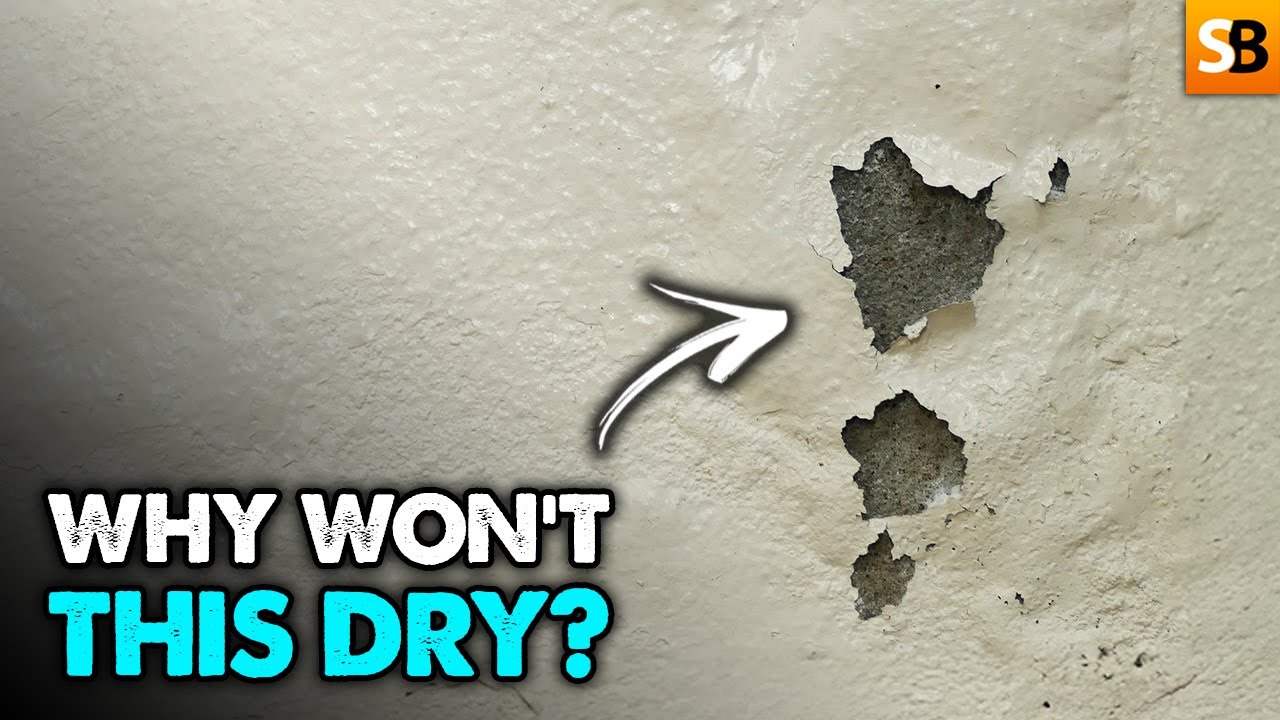 The Hidden Dangers Of DAMP Kitchen Walls You Can't Ignore